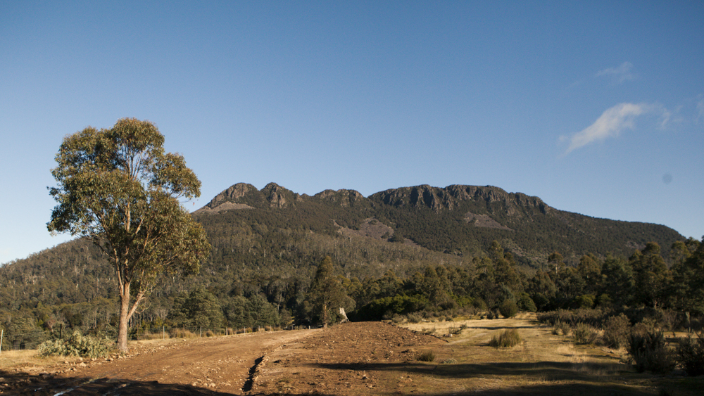 Quamby Bluff – TasTrails.com